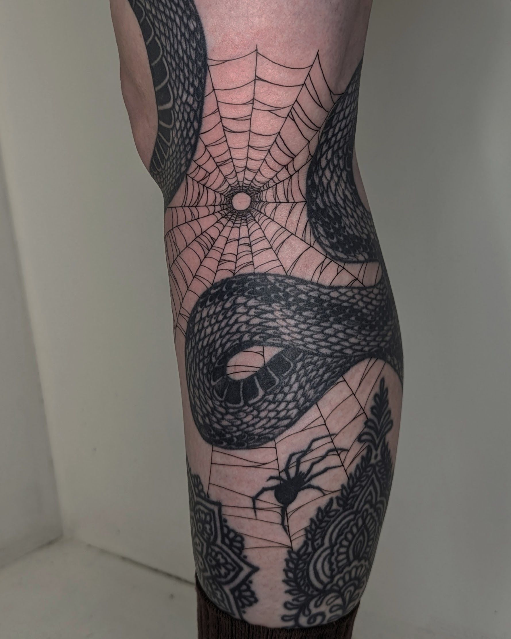 Delicate Web by Alien Ink • Tattoodo