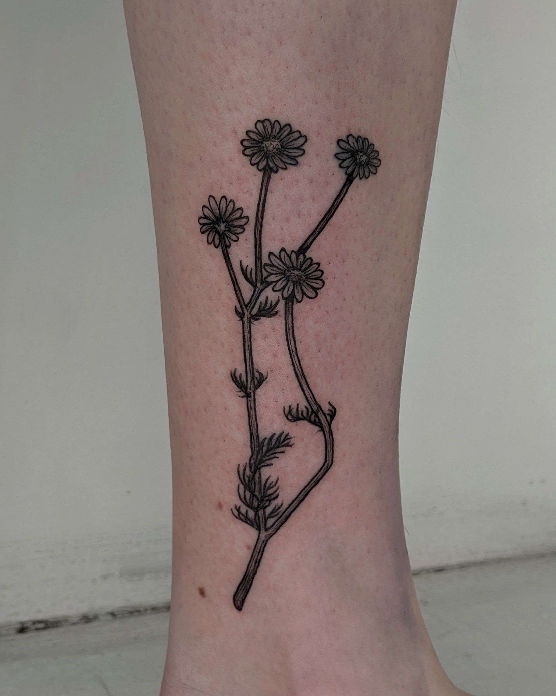 Tattoo uploaded by Alien Ink • Tattoodo