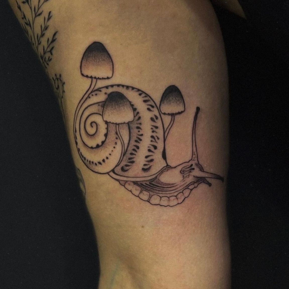Whimsical Snail and Mushroom Tattoo • Tattoodo