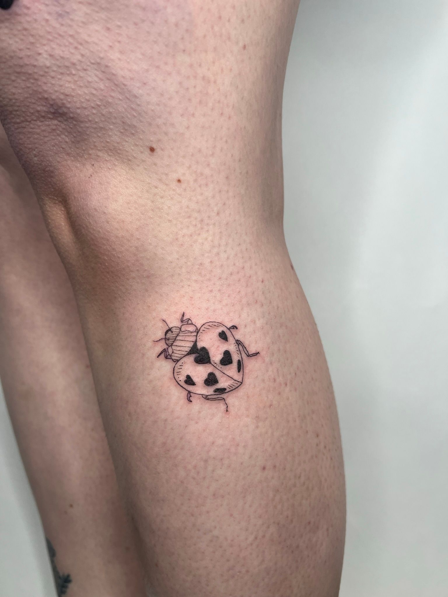 Fine Line Ladybird Tattoo by Emma InkBaby • Tattoodo