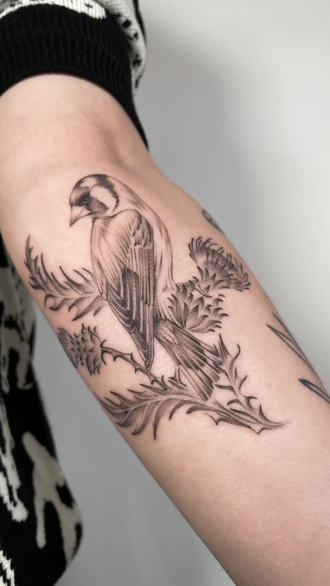Tattoo uploaded by Sam • Gold Finch Bird • Tattoodo