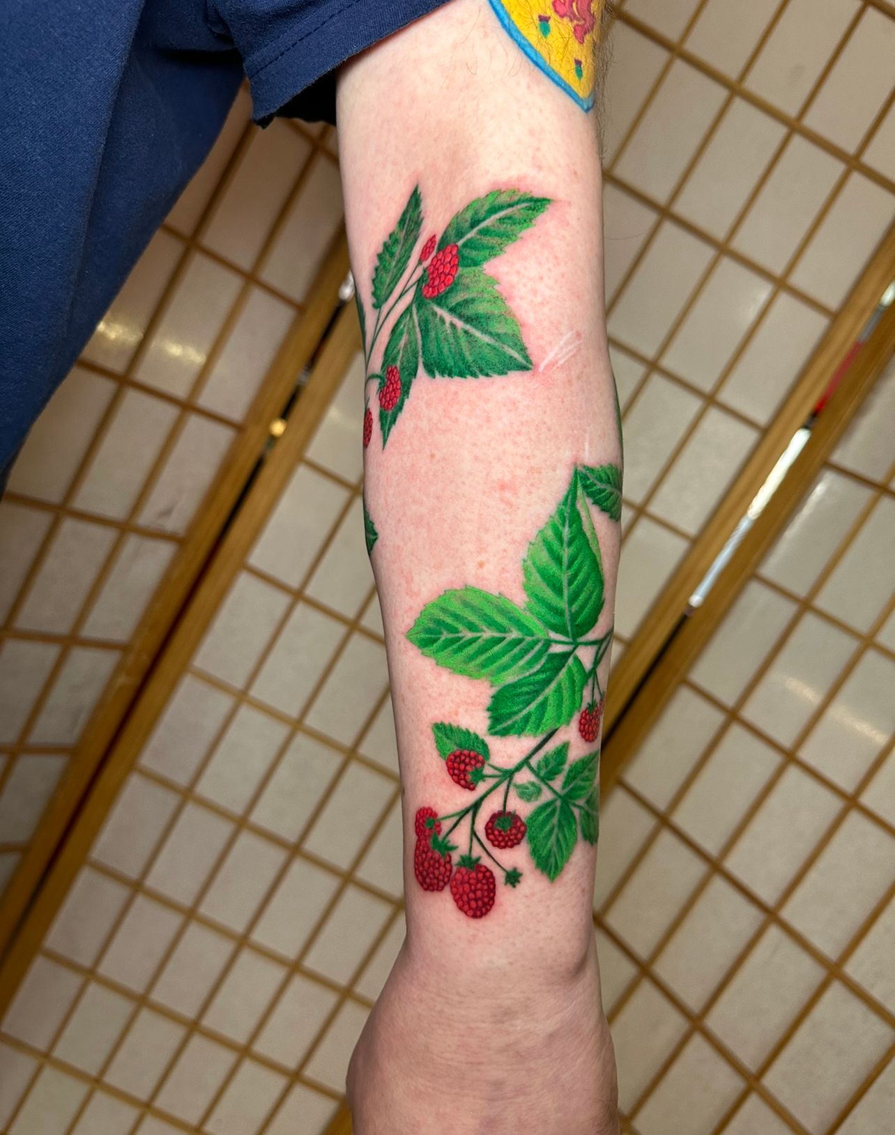 Raspberry Branches Tattoo • Tattoodo
