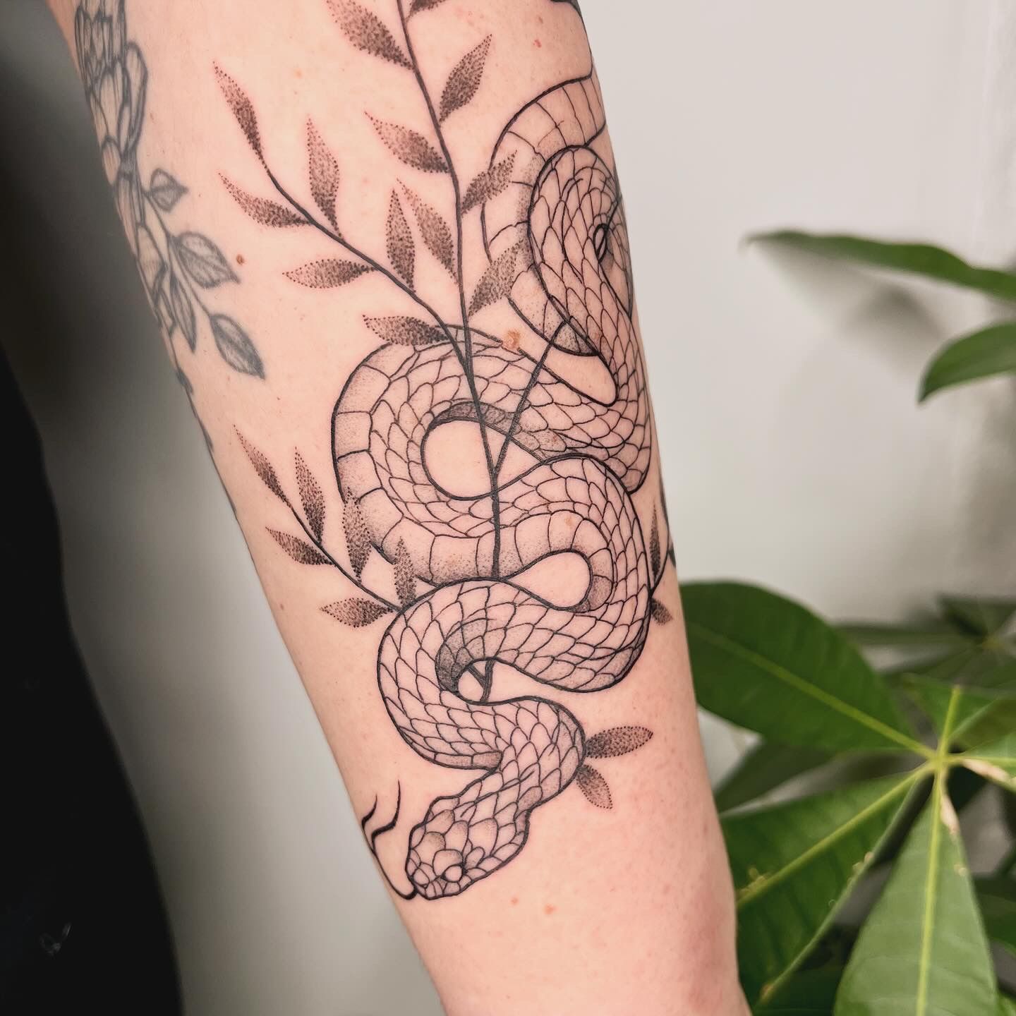 Snake and Vine Dotwork Tattoo • Tattoodo