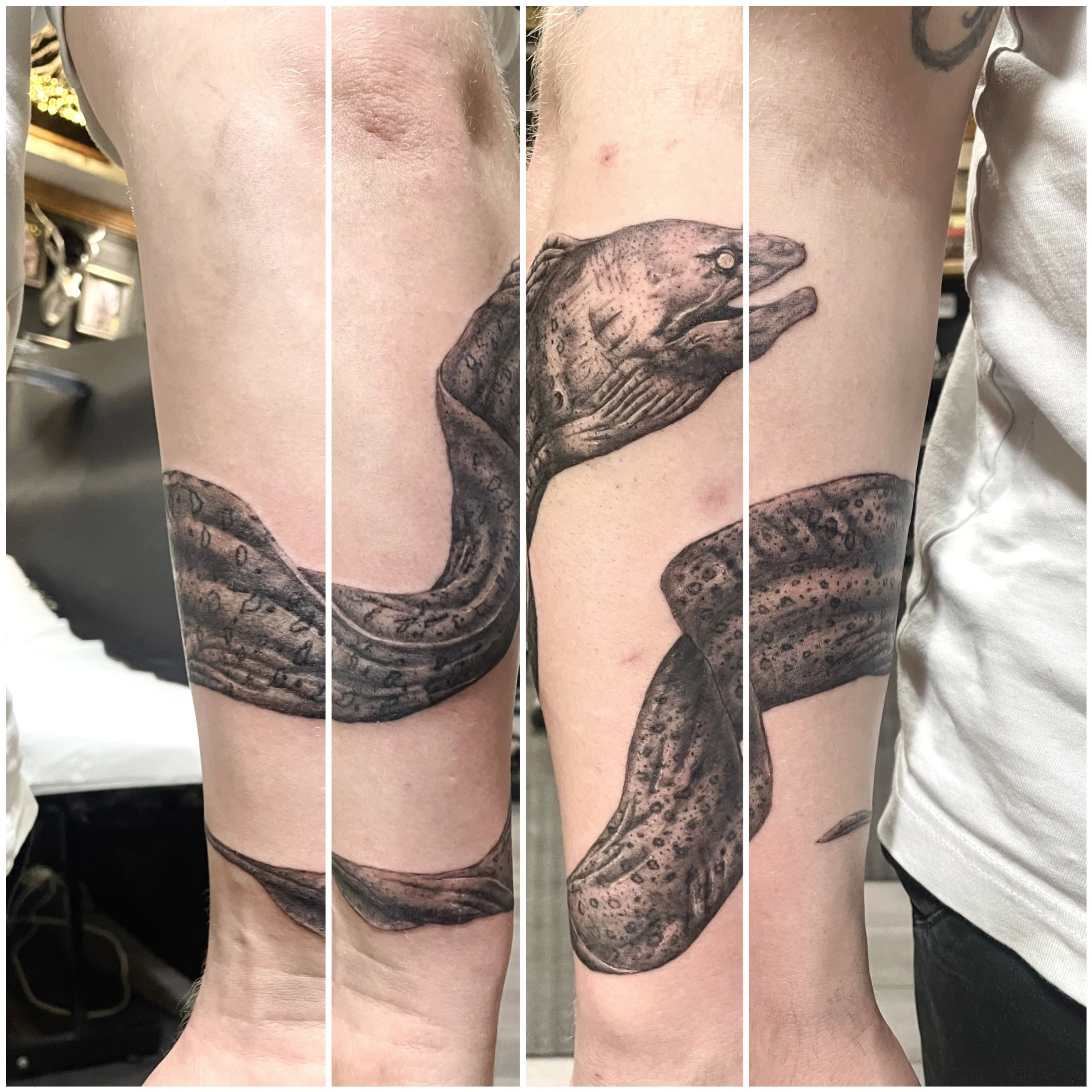 Moray Eel Tattoo • Tattoodo