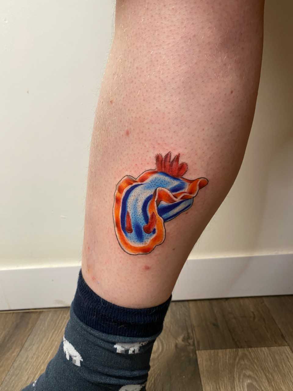 Sea Slug Tattoo • Tattoodo