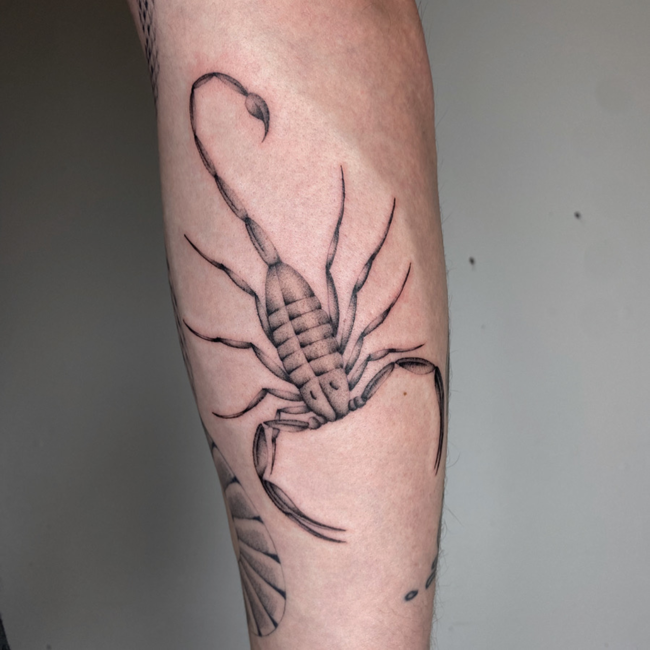 Chicano Scorpion • Tattoodo