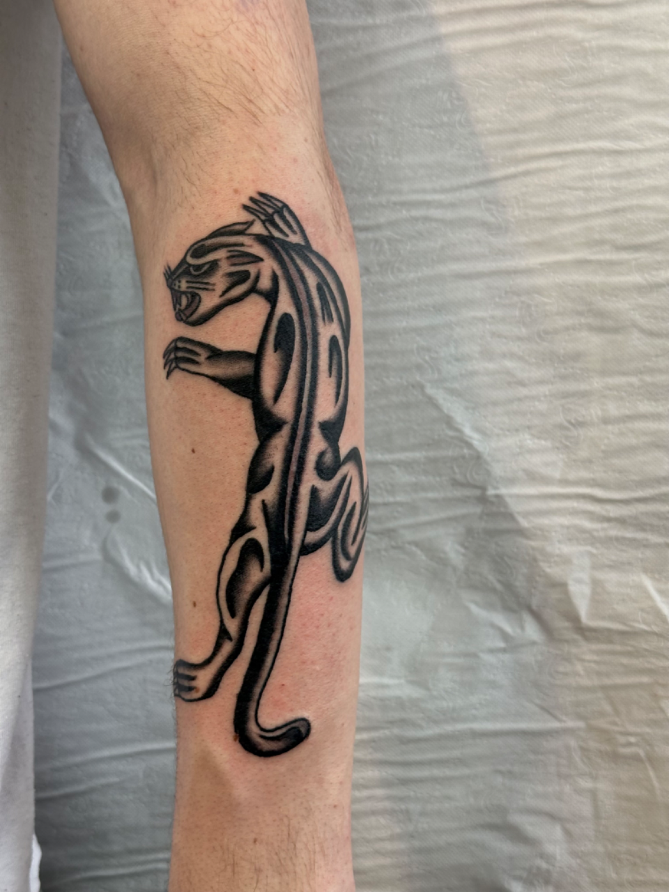 Traditional Panther Tattoo by Jakob Isaac • Tattoodo