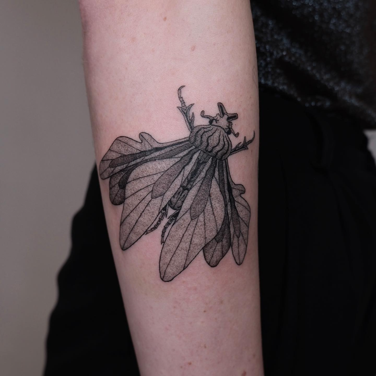 Insect Tattoo • Tattoodo