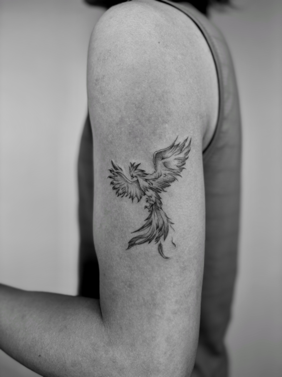 Fine Line Phoenix Tattoo • Tattoodo