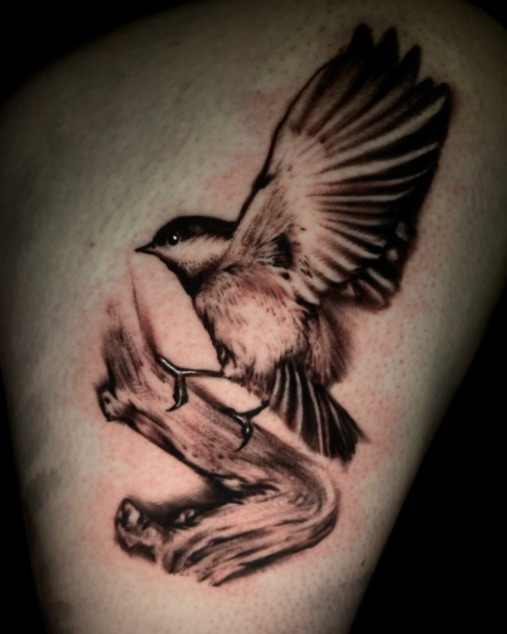 Micro Realism Bird and Tree Tattoo • Tattoodo