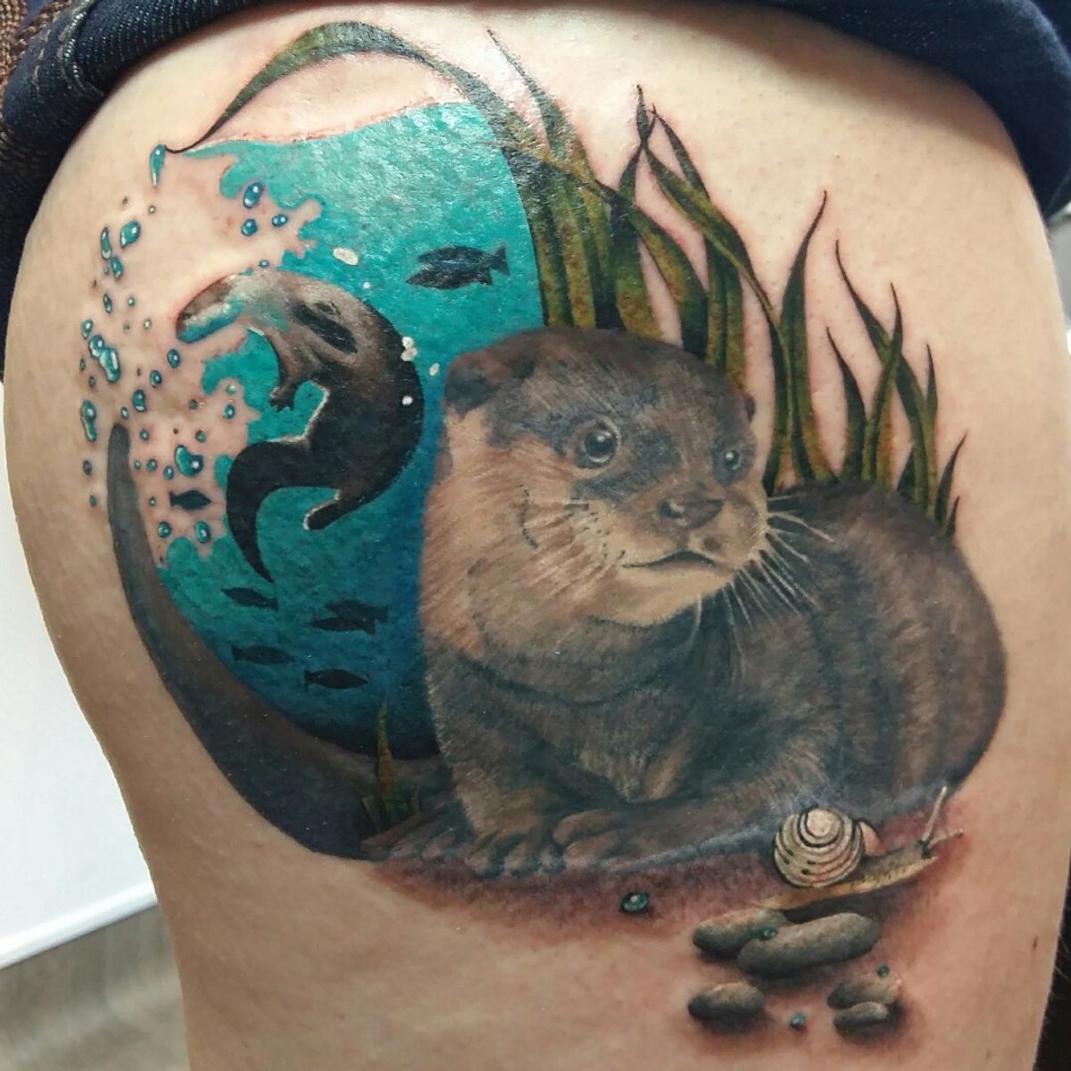 Tattoo uploaded by Tamara • My 4th tattoo. I've loved otters ever since ...