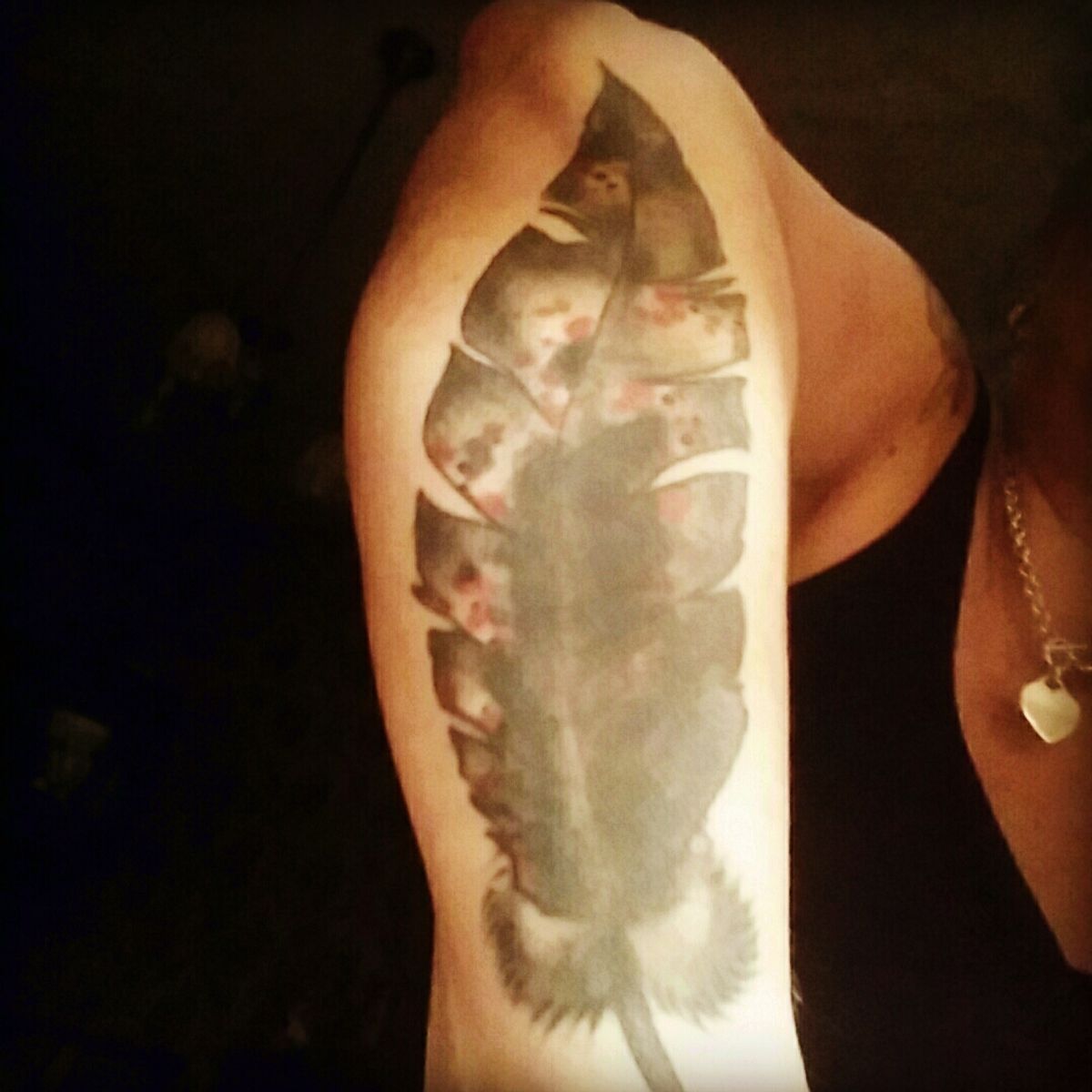 Tattoo uploaded by Amanda • Feather for my mother RIP Emmy • Tattoodo