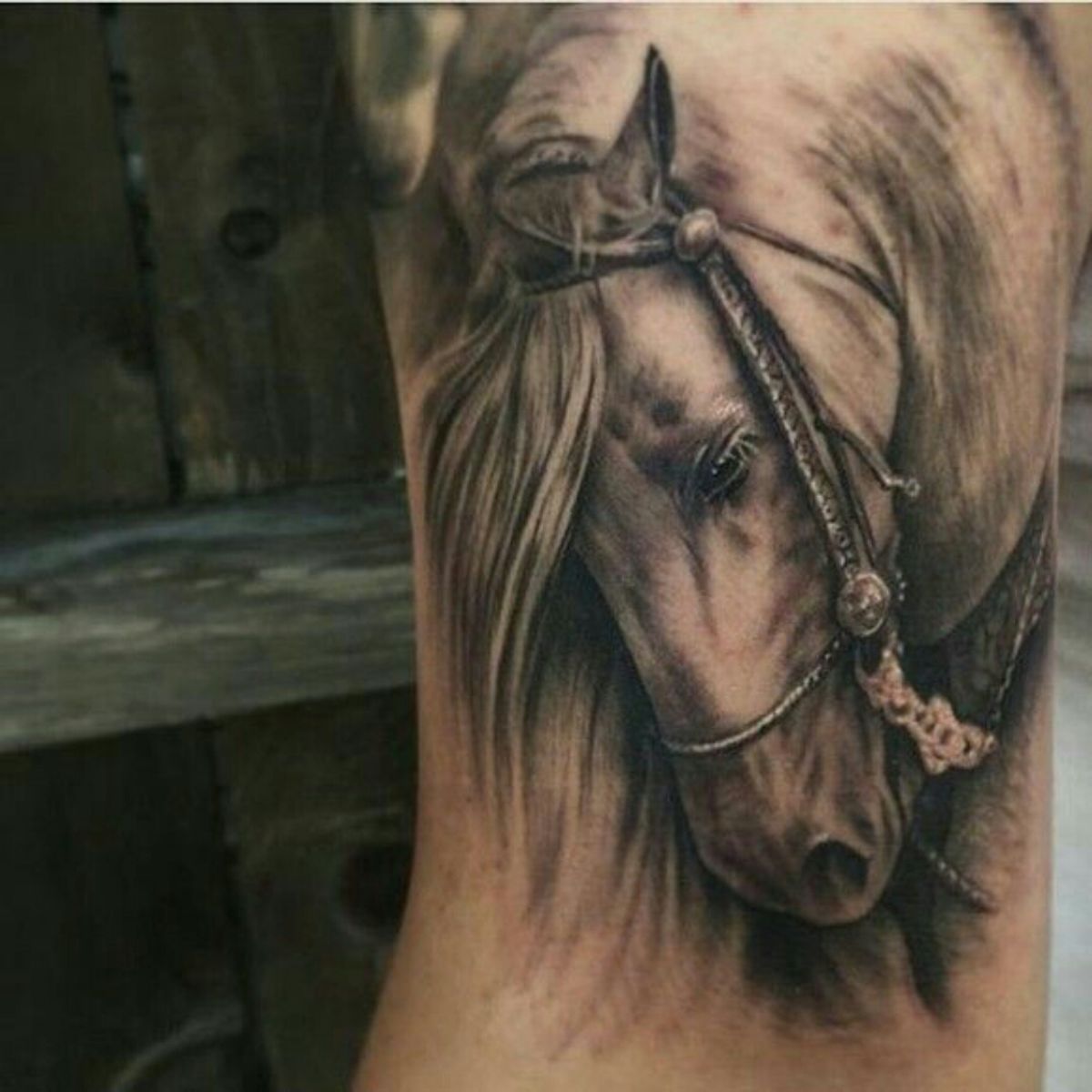 Tattoo uploaded by Holly • Gorgeous #Andalusian #horse #photorealism # ...