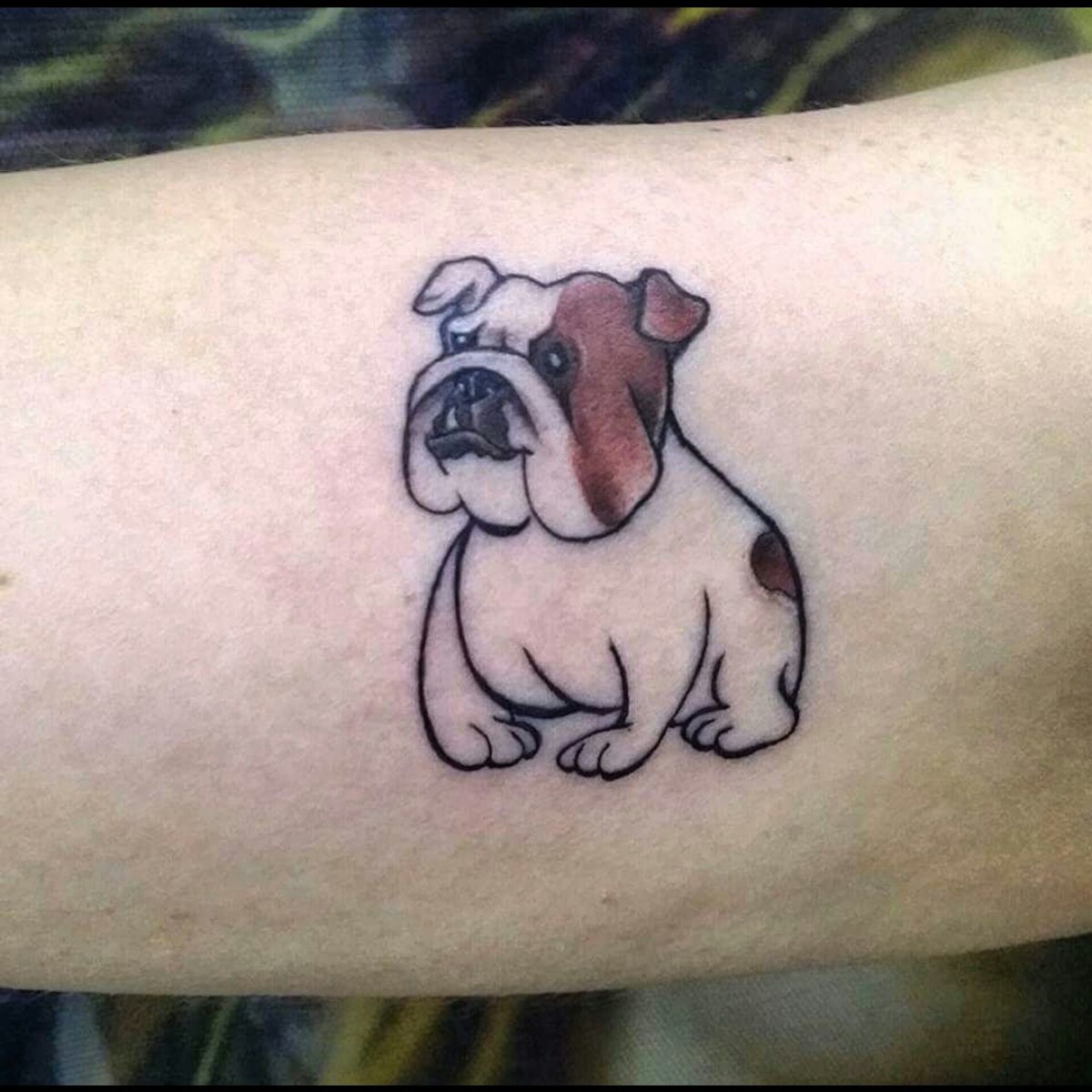 Tattoo uploaded by Sandro WAYNE TATTOO • English Bulldog • Tattoodo