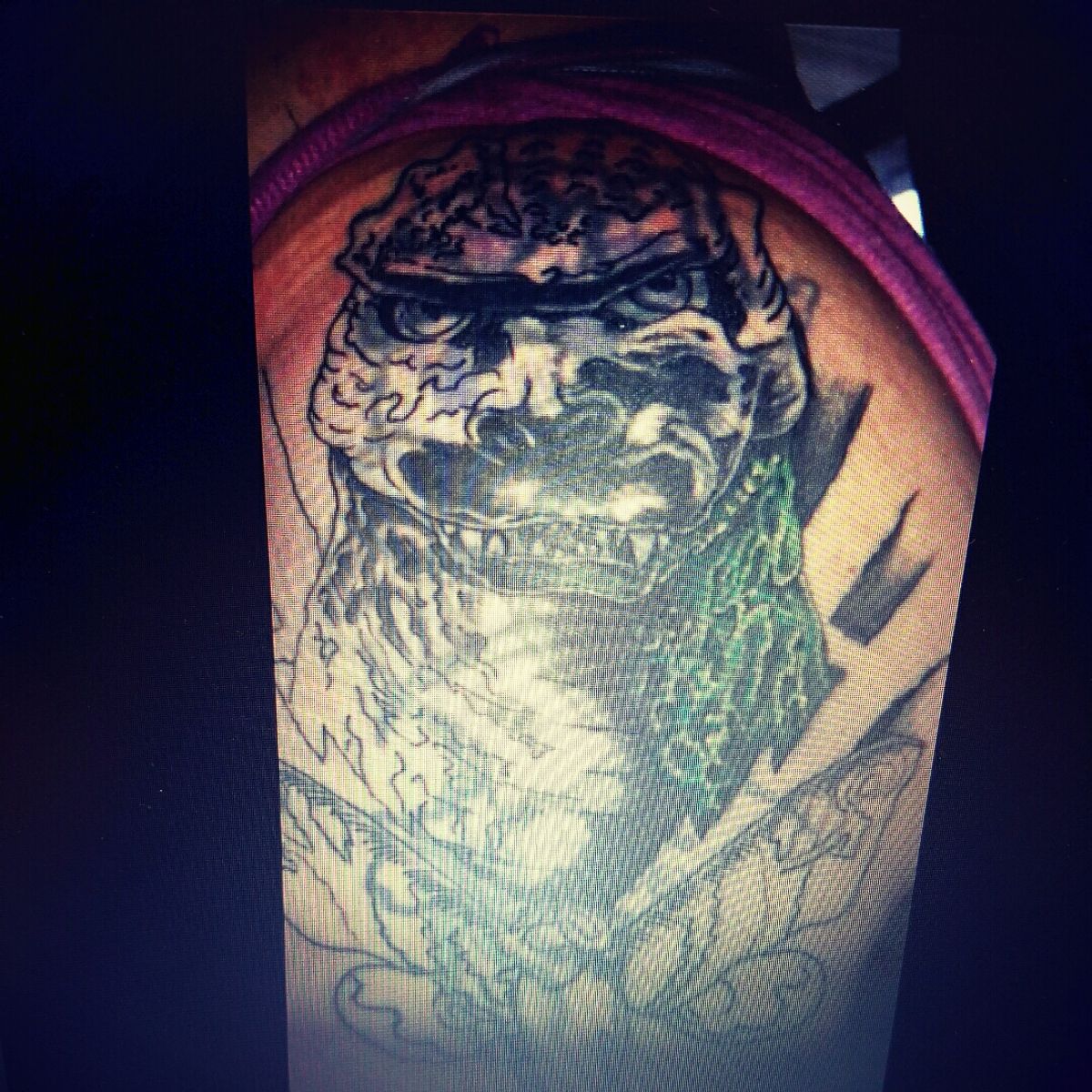 Tattoo uploaded by Claudine Sorensen • Godzilla Mothra cover up. • Tattoodo