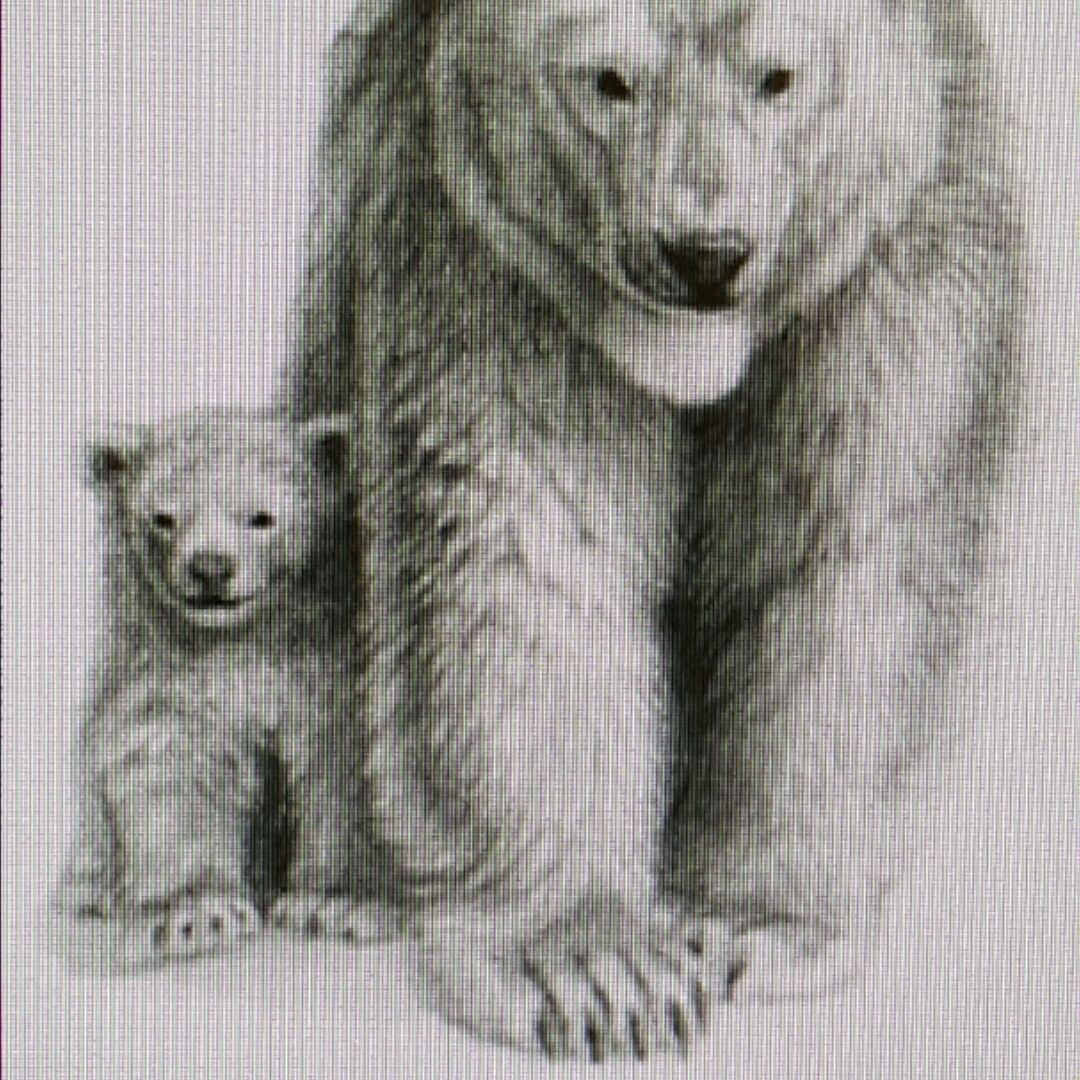 Tattoo uploaded by Jeff Bonnell • Tattoodo