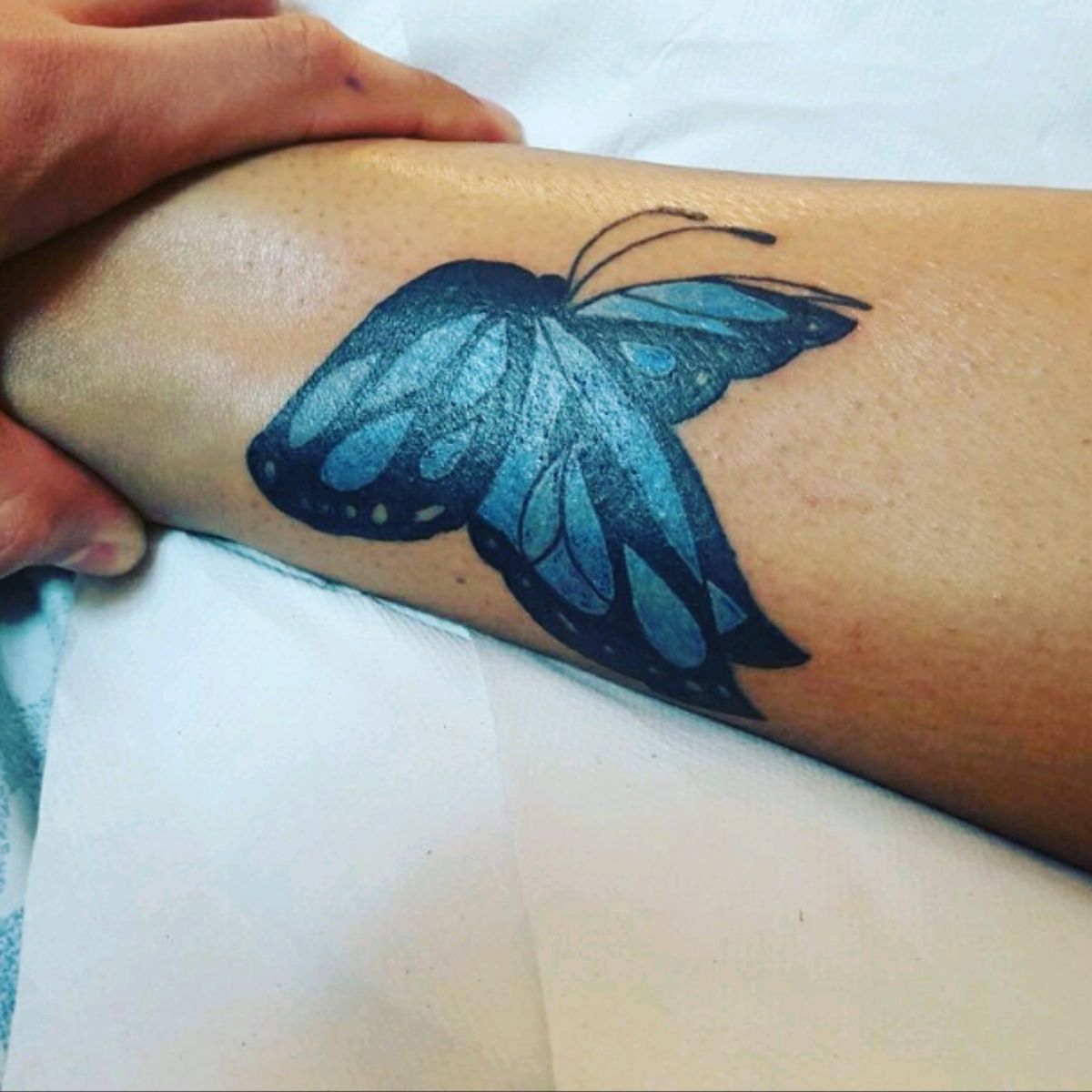 Tattoo uploaded by MaCo De Leon • Butterfly! • Tattoodo
