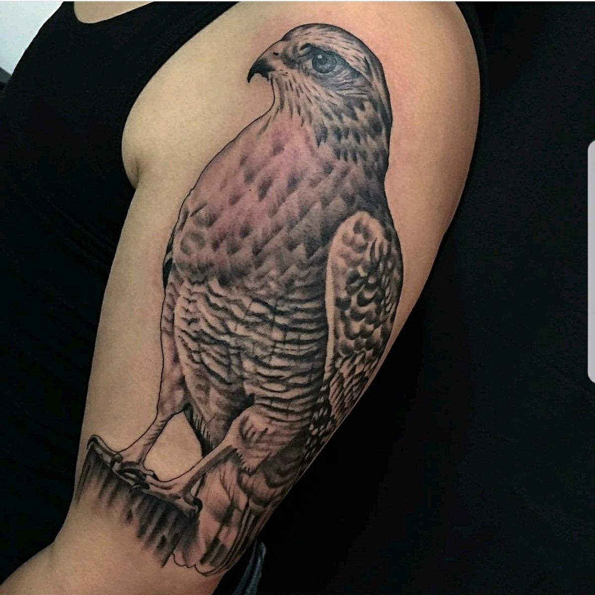 Tattoo uploaded by Hand of Glory Tattoo • Red tailed hawk by Ron Mor ...