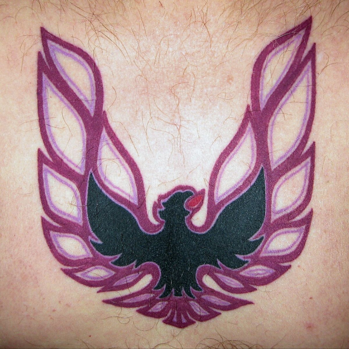 Tattoo uploaded by Blaine Hamrick • My Firebird Tattoo • Tattoodo