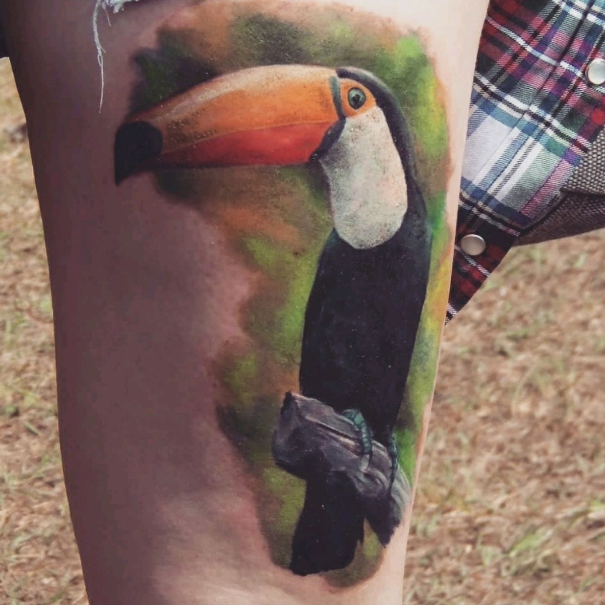 Tattoo uploaded by Rafael Vercetti • Tucano #realismo #realismtattoo ...