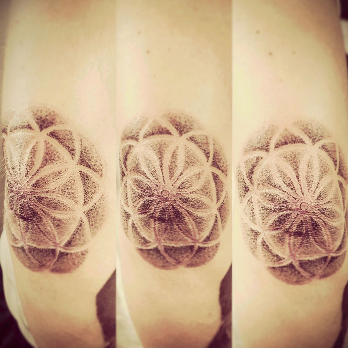 Tattoo uploaded by Tony • #dot #dotwork #pattern #tat #tatt #tattoo # ...