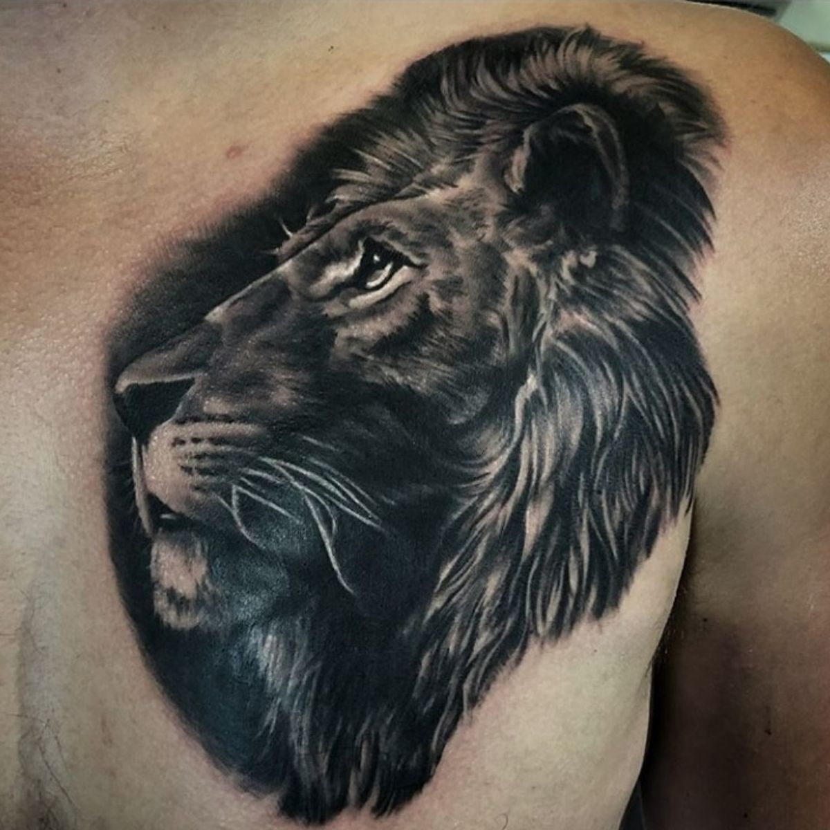 Tattoo uploaded by Barney Wotman • Black & White Lion • Tattoodo