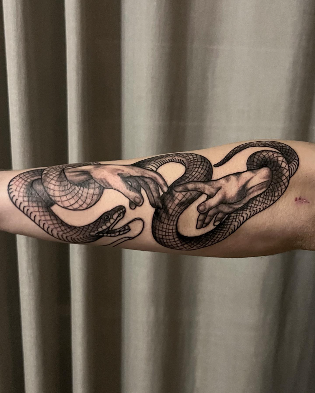 Snake and Hands Tattoo • Tattoodo