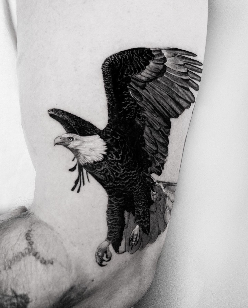 Micro Realism Eagle Tattoo • Tattoodo