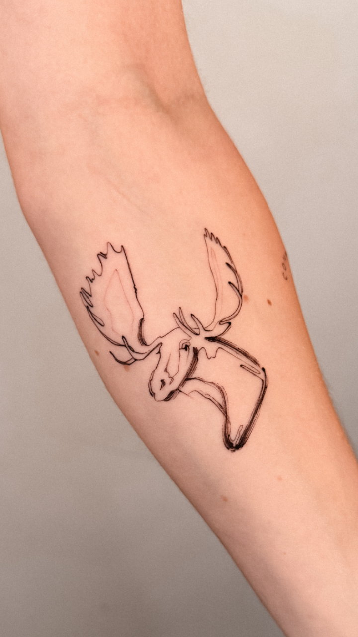 Fine Line Moose Sketch Tattoo by Alex Caldeira • Tattoodo