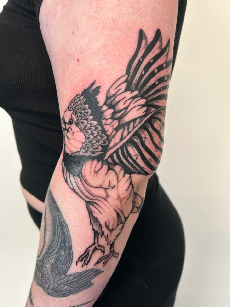 Graceful Flight • Tattoodo