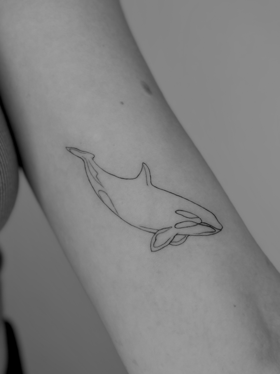 Continuous Line Orca Tattoo • Tattoodo