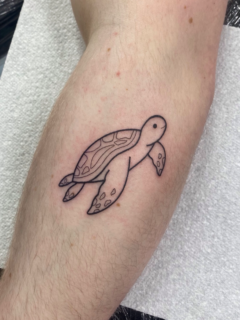 Graceful Blackwork Turtle Tattoo • Tattoodo