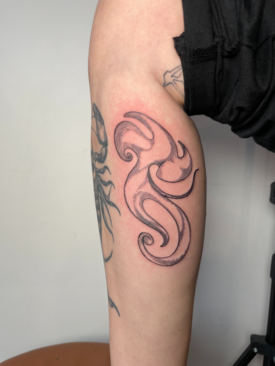 Tattoo uploaded by Robin Mooneye • Tattoodo