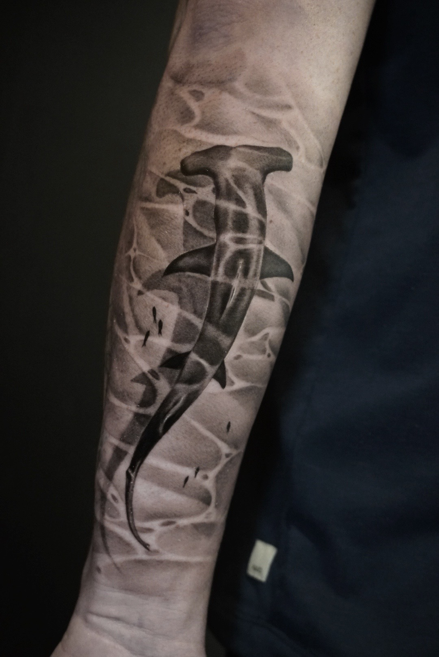 Hammerhead Shark Arm Tattoo • Tattoodo