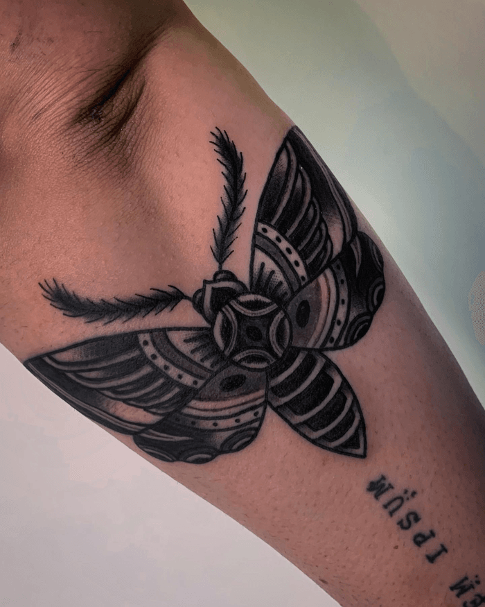 Moth Tattoo • Tattoodo
