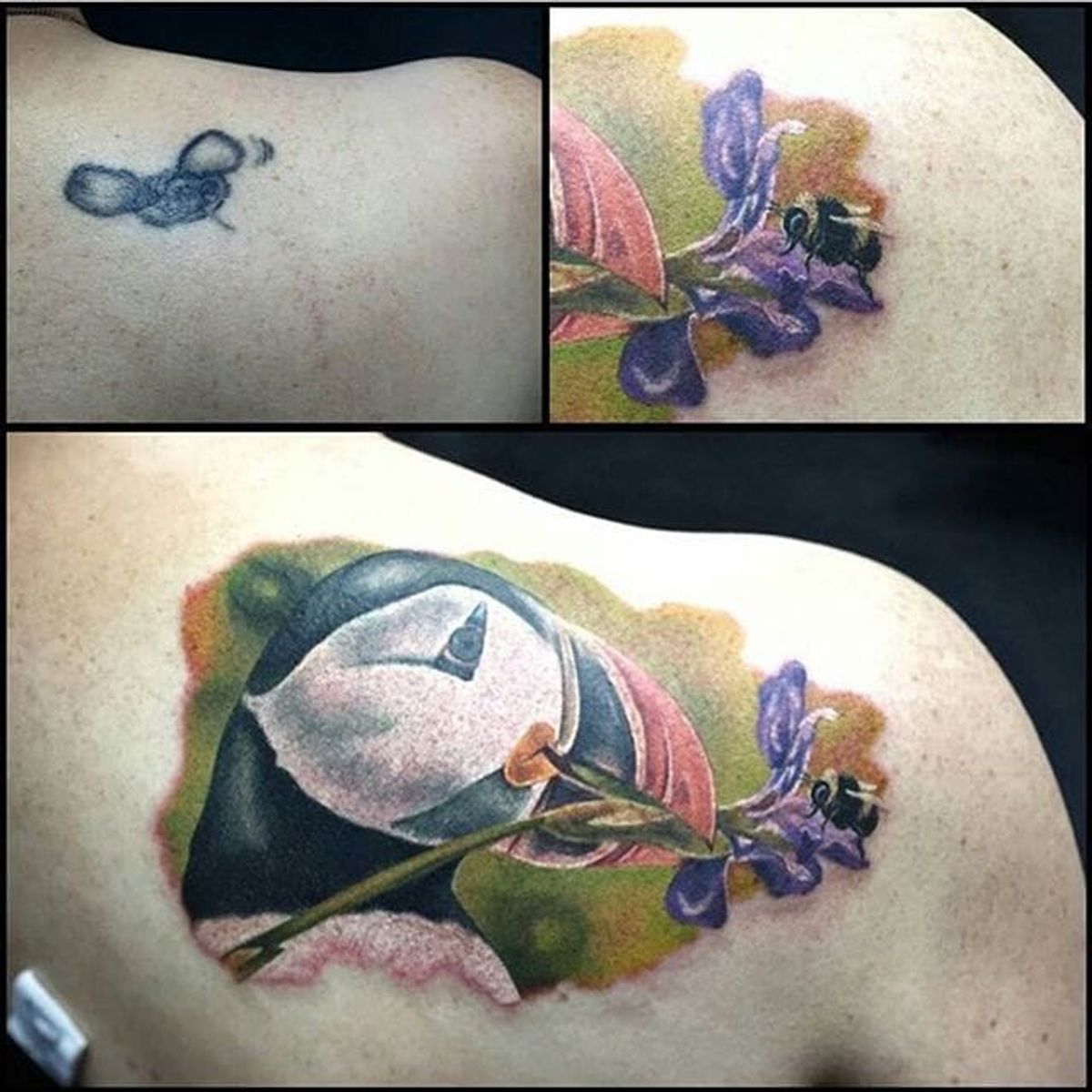Tattoo uploaded by Stacie Mayer • Color realism puffin tattoo by Nancy ...