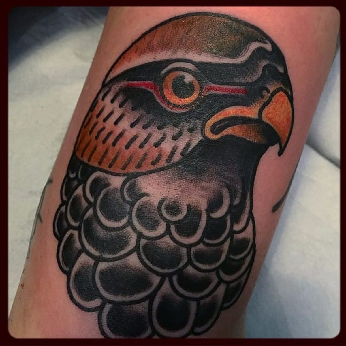 Tattoo uploaded by Robert Davies • Traditional Hawk design by @conrad33 ...
