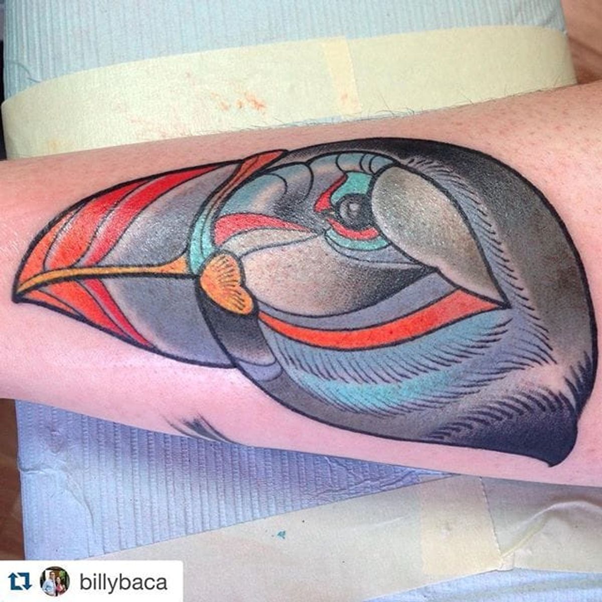 Tattoo uploaded by Stacie Mayer • Puffin head by Billy Baca. # ...