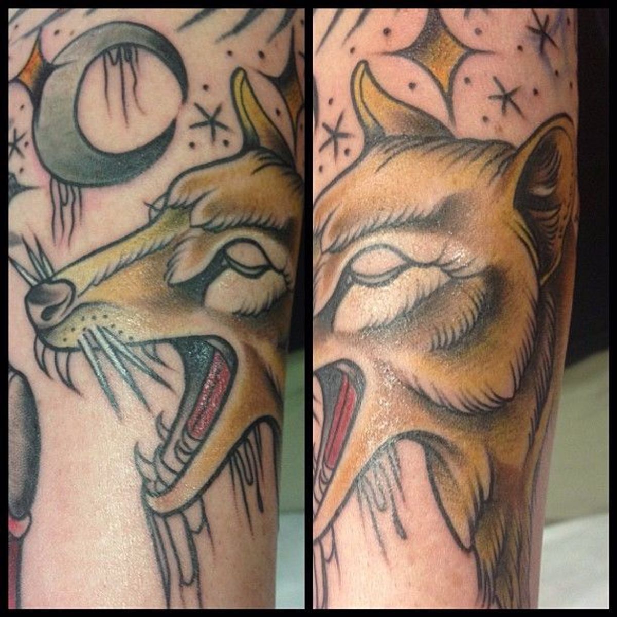 Tattoo uploaded by Stacie Mayer • Neo-traditional Tasmanian tiger ...
