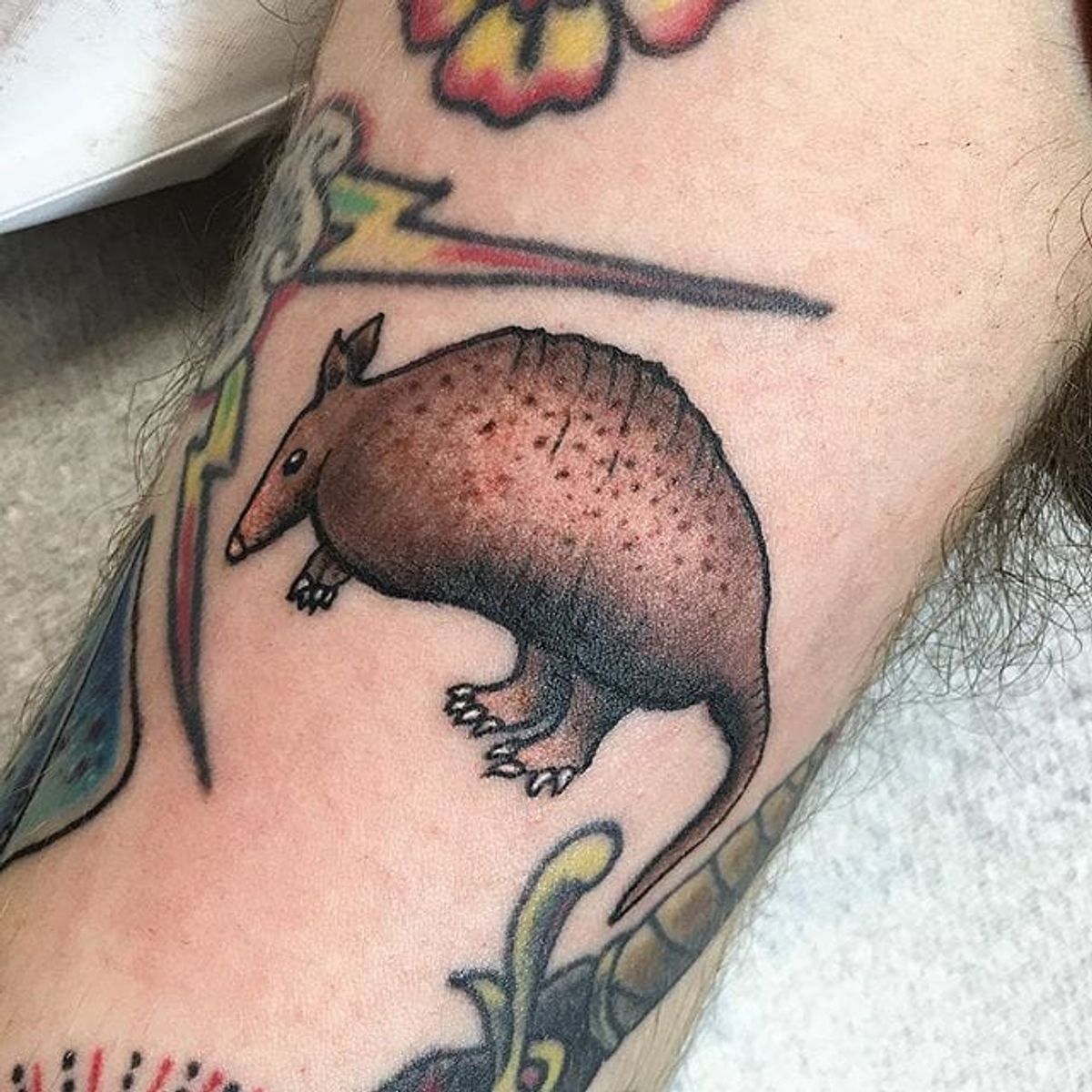 Tattoo uploaded by Stacie Mayer • Cute little armadillo tattoo by ...