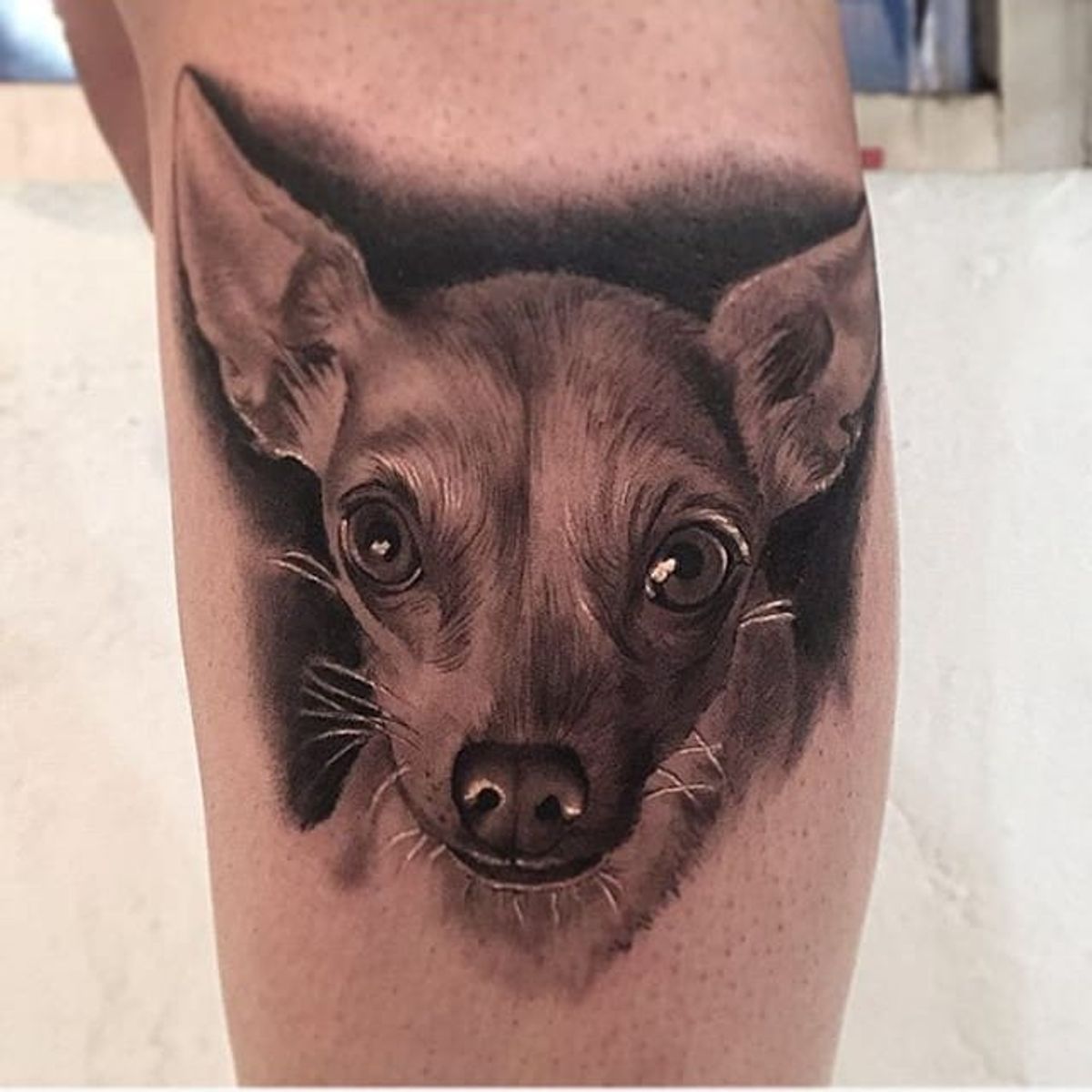 Tattoo uploaded by Stacie Mayer • Chihuahua pet portrait by Jamie ...