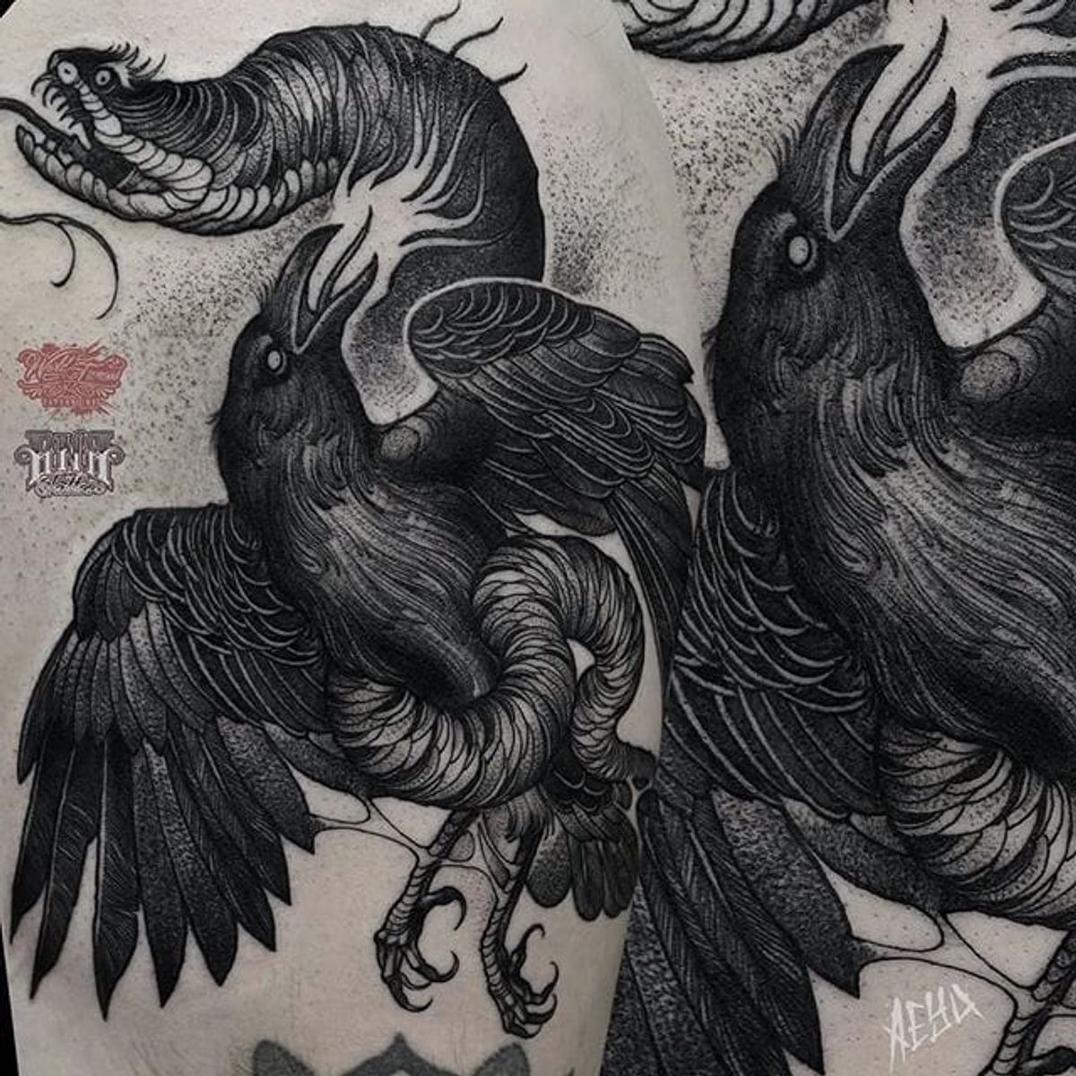 Tattoo uploaded by Robert Davies • Snake and Crow Tattoo by Alex ...
