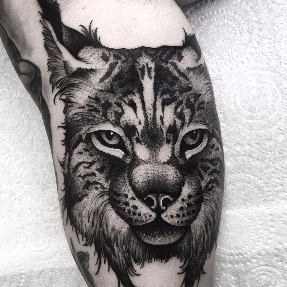 Tattoo uploaded by Tattoodo • Wild cat by Kelly Violence #KellyViolence ...