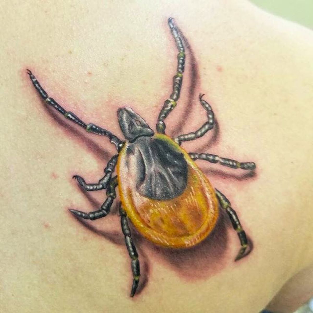 Tattoo uploaded by Servo Jefferson • Realistic tick by John Lohry (via ...