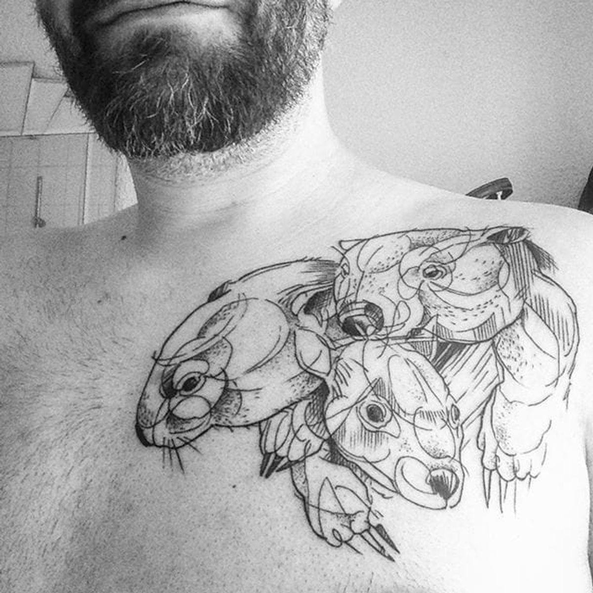 Tattoo uploaded by Servo Jefferson • Linework wombats (via IG ...