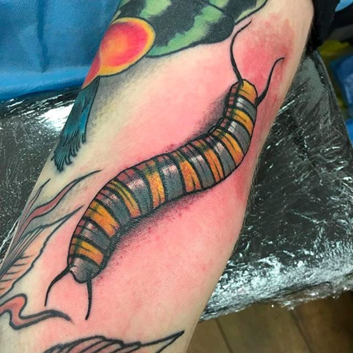Tattoo uploaded by rcallejatattoo • Creepy looking worm tattoo by Dan ...