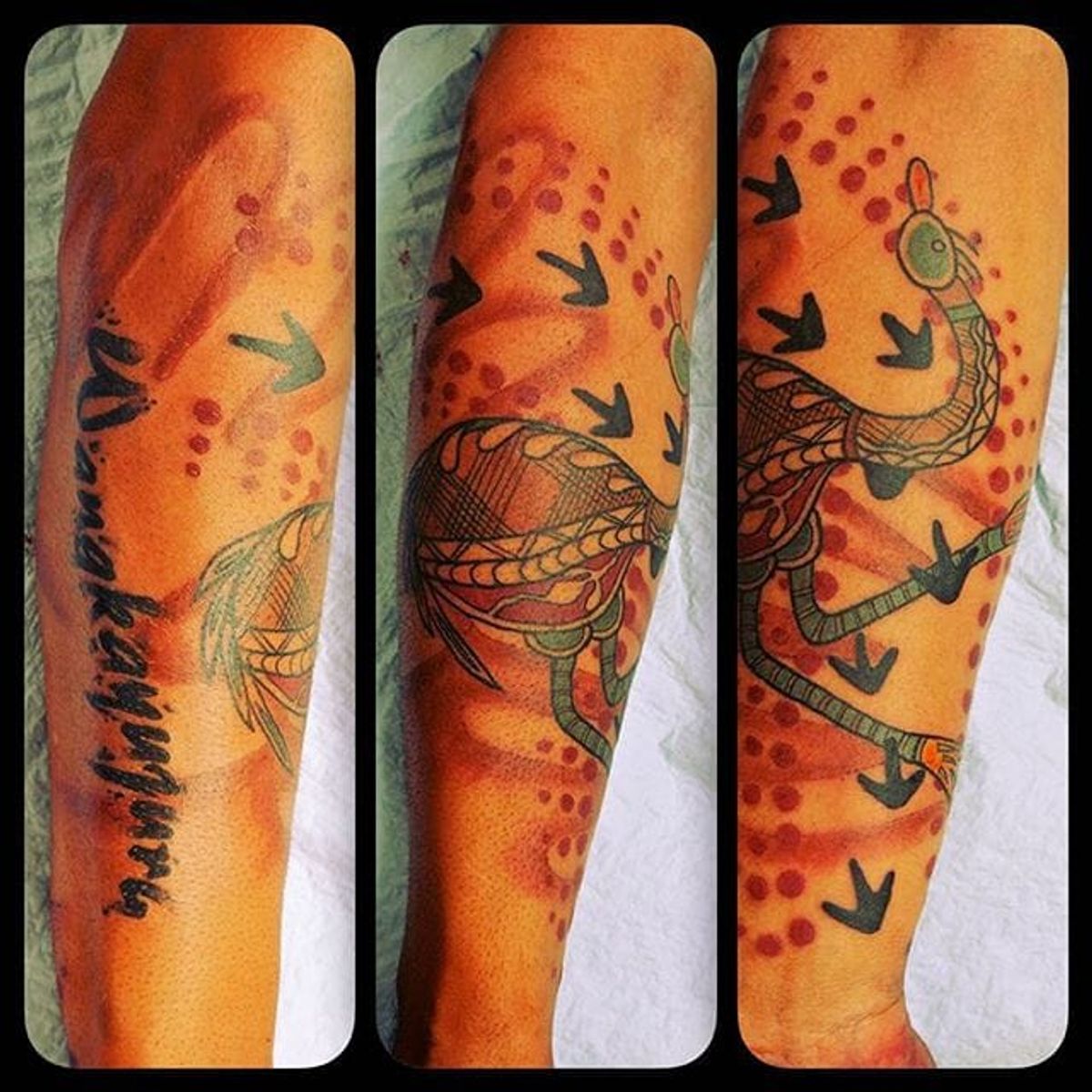 Tattoo uploaded by Stacie Mayer • Emu tattoo in the style of ...