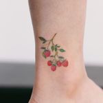 Tattoo uploaded by Heather Baldwin • Illustrative color raspberry bush ...