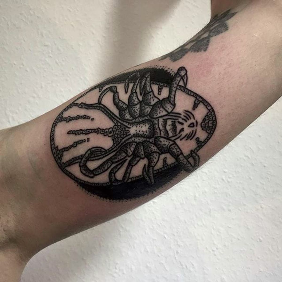 Tattoo uploaded by Servo Jefferson • Tick by Enki (via IG -- fuenkel ...