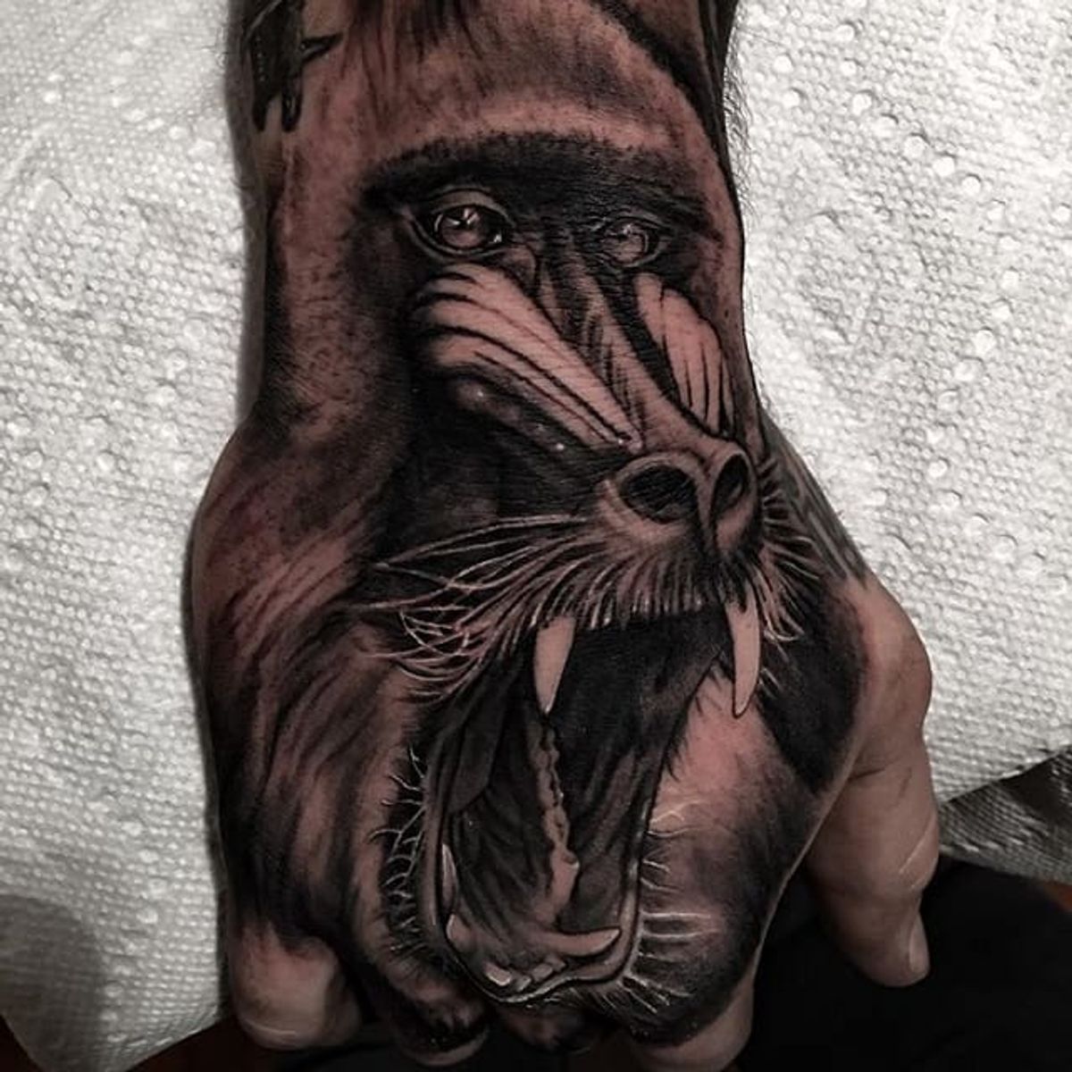 Tattoo uploaded by Stacie Mayer • Black and grey baboon hand tattoo by ...
